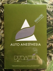 Anesthesia Autofloreciente (3) - Pyramid Seeds - Imperioseeds Grow Shop ...